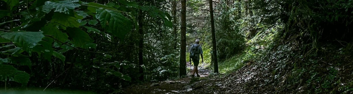 Transference - Càtedra Educació i Patrimoni Immaterial dels Pirineus